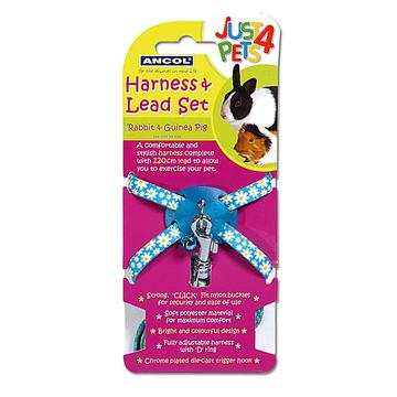 Pet Counter - Online Pet Supplies - The Place for Pets | PetCounter