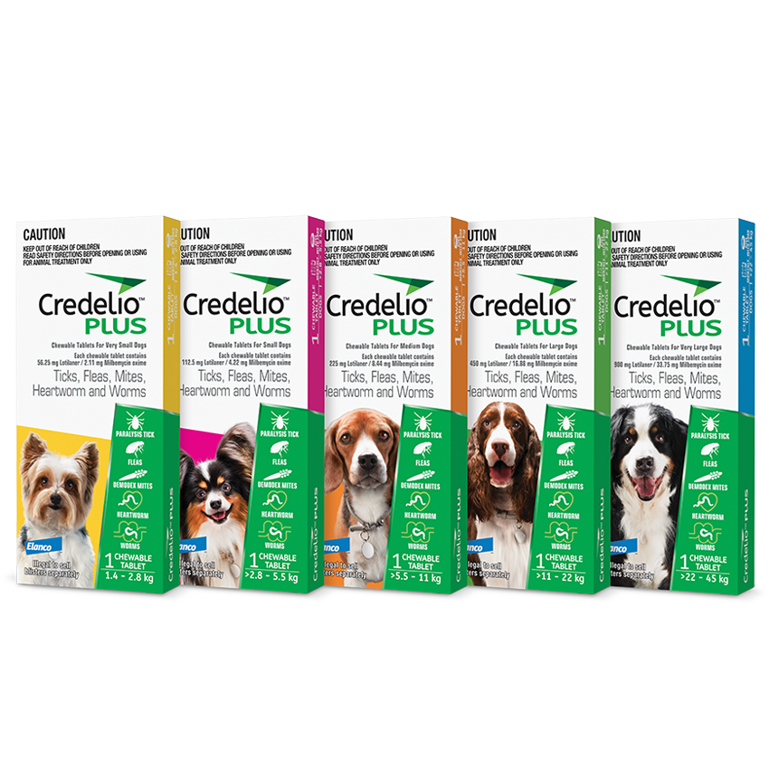 Credelio Plus Tablets for Dogs | PetCounter