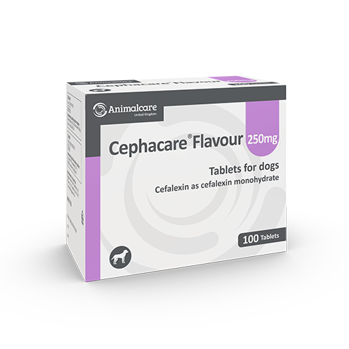 Cephacare Tablets for Dogs | PetCounter