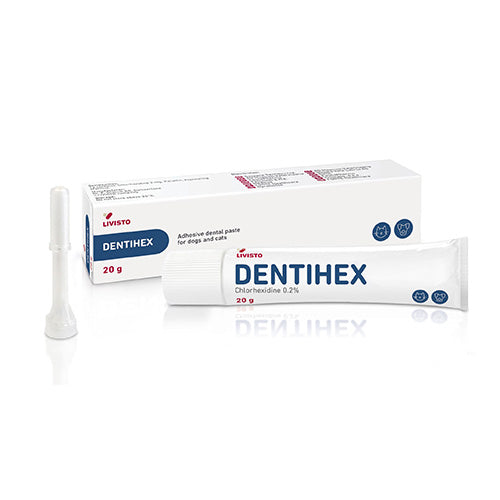 Dentisept Oral Paste | PetCounter