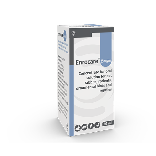 Enrocare Oral Solution 25mg/ml | PetCounter