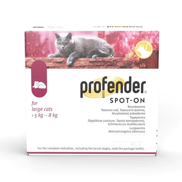 Profender Spot On for Large Cats >5kg-8kg | PetCounter