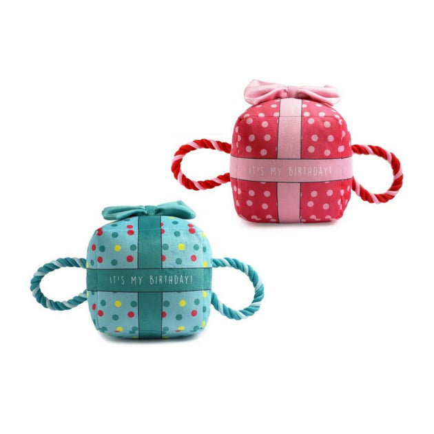Ancol It's My Birthday Present Dog Toy | PetCounter