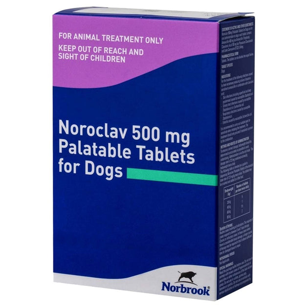 Noroclav Tablets for Dogs 500mg | PetCounter