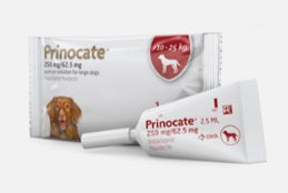 Prinocate Large Dog 250/62.5mg 3 pack | PetCounter