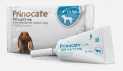 Prinocate Medium Dog >4kg-10kg 3 pack | PetCounter